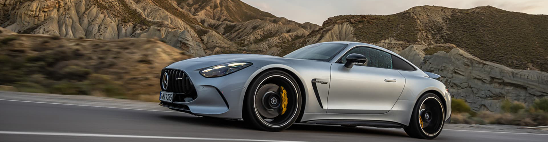 Mercedes AMG GT AMG GT 43 Özellikleri